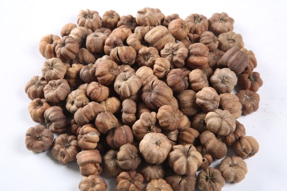 Putka - Intercon Impex | Dried Flower, Sola, Potpourri manufacturers ...